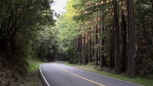 Road going through the Forest, Oregon, USA, 2000s - Footage File