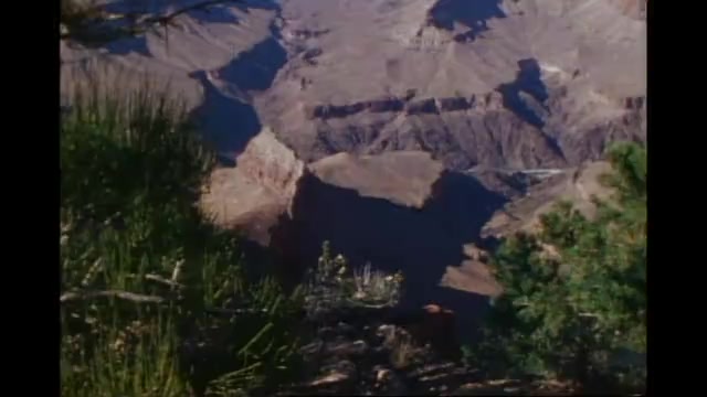 The Grand Canyon, medium shot, side view, trees on side - Footage File