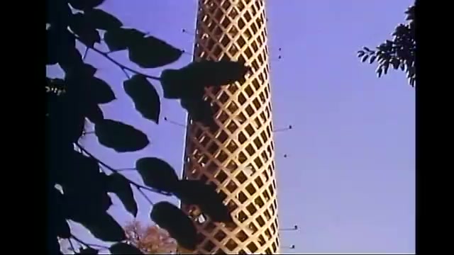 Cairo Tower, medium close up top, tilt up, framed in trees - Footage File