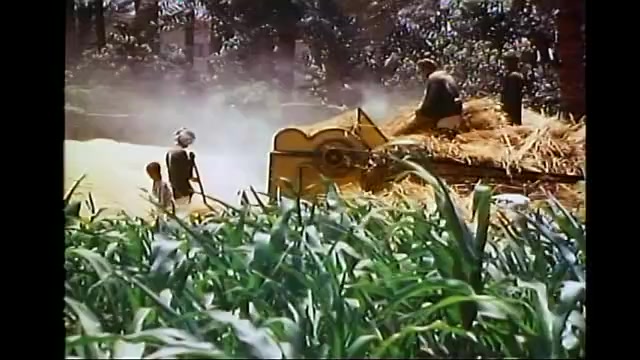 Fayoum Oasis, very old belt driven threshing machine, medium shot ...