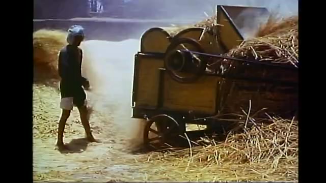 Fayoum Oasis, very old belt driven threshing machine, close up ...