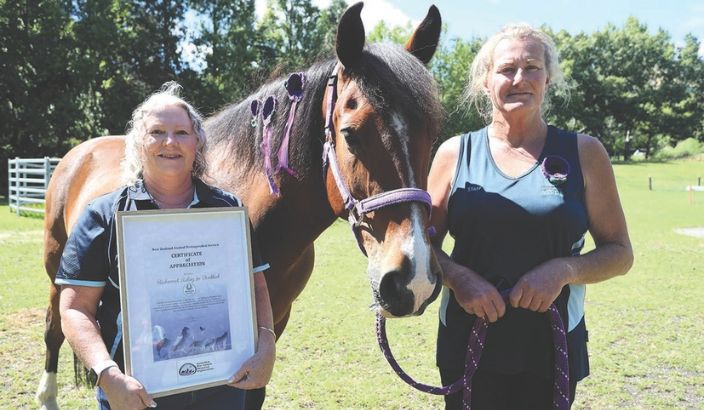 Purple Poppy Day Nelson 2026: Richmond RDA horses to lead war animal ...