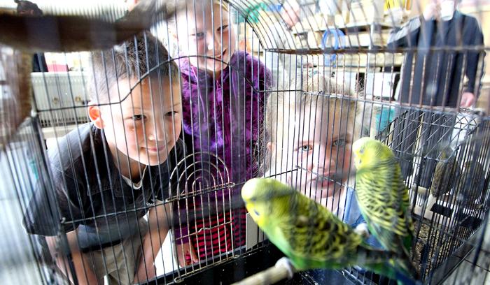 Bird sale big success