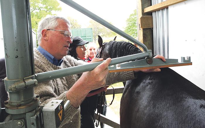 Show preparations well in hand