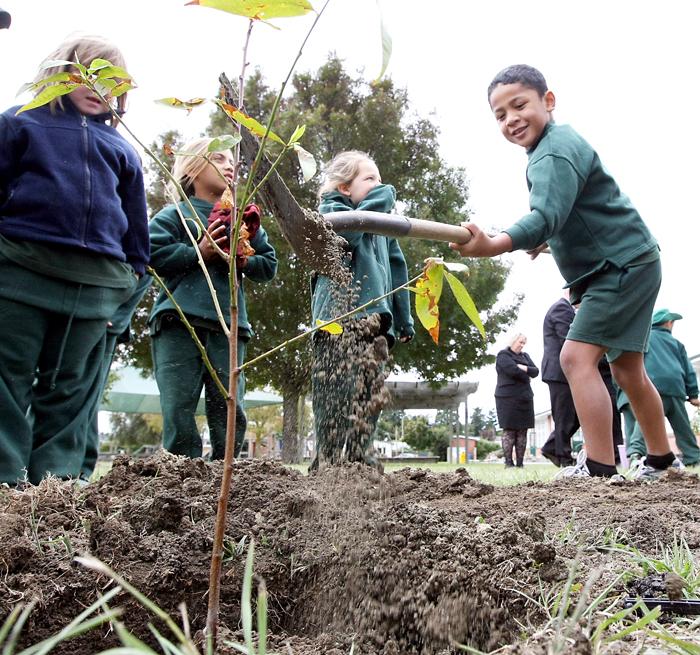 Growing their own fruit trees