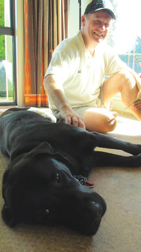 Gavin the guide dog a lifeline for David