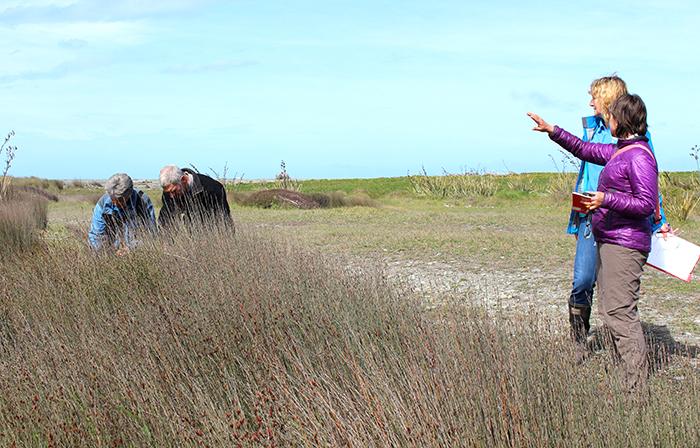 Beach area 'ever changing'