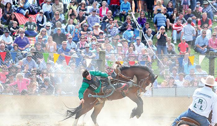 Rodeo crowd 'marvellous'