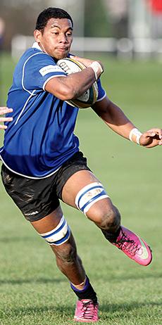 Who will be champion?