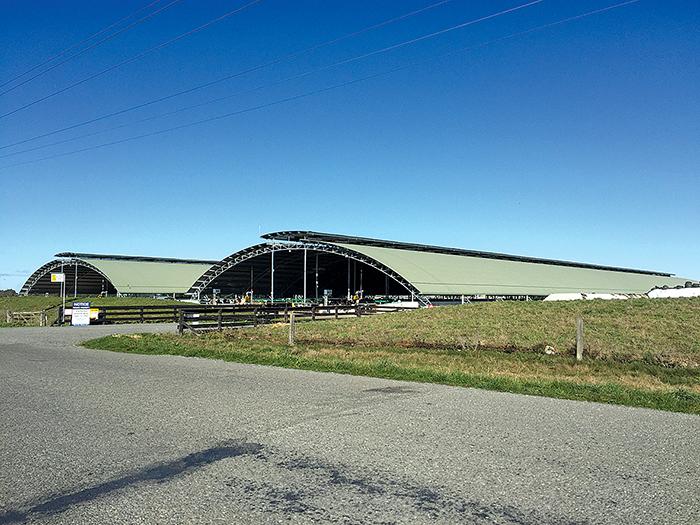 Cow barns still a viable option