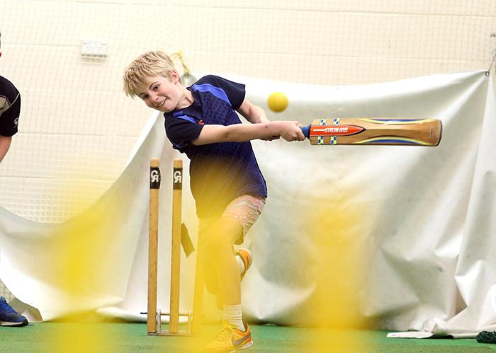 Cricket on the horizon