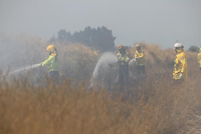 Fire burns through roadside vegetation