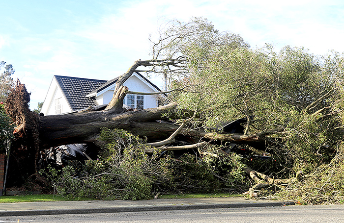 Wild weather wreaks havoc