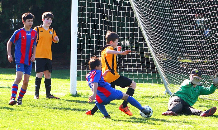 Mixed bag for local football sides