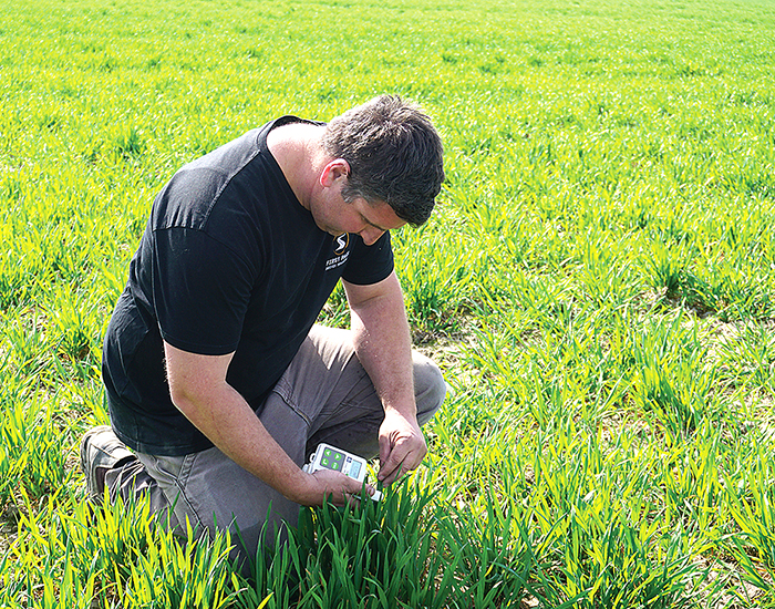 Pathfinder farmer finds confidence to cut back
