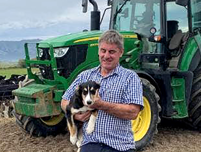 D-Day looms for winter grazing consents