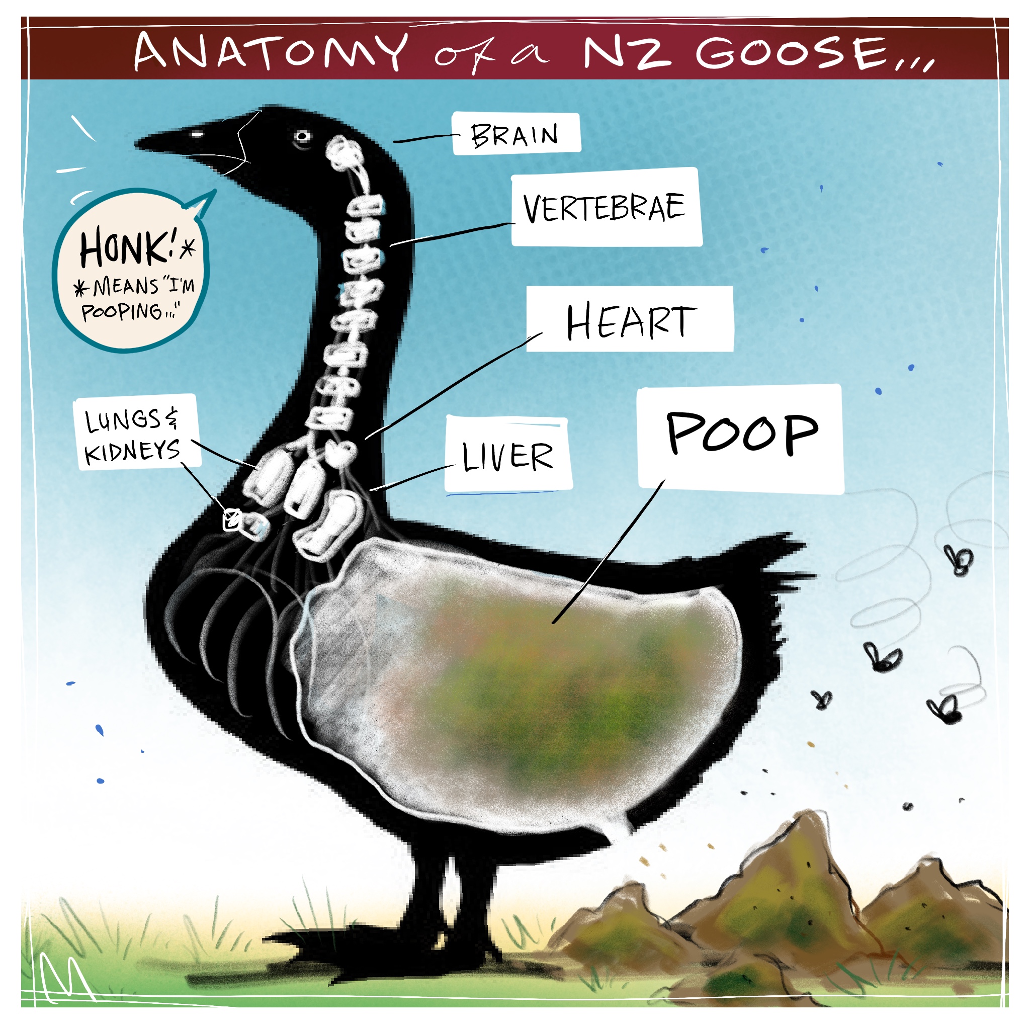 It’s war and geese