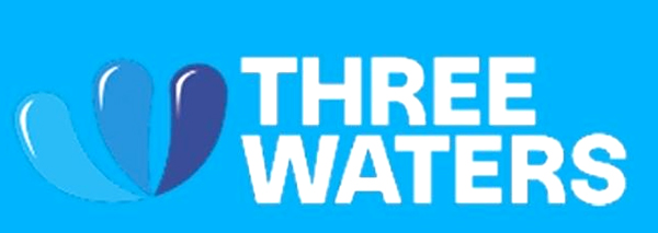 Three Waters LTP workload 'horrifying'