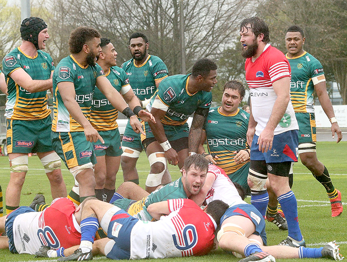 Hammers' pathway to Heartland success in 2023