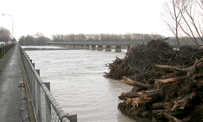 No concerns about forestry slash