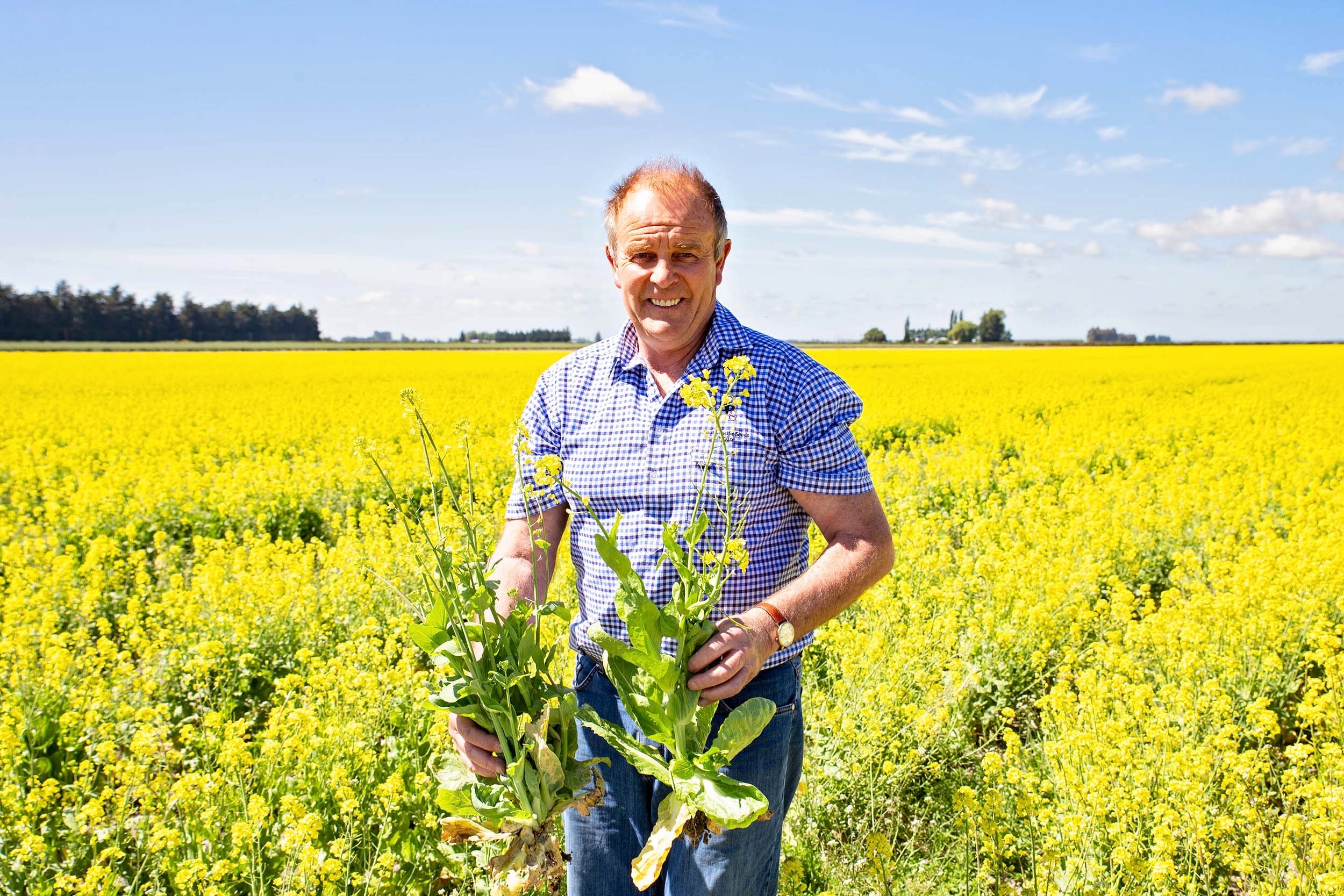 Seeds of success