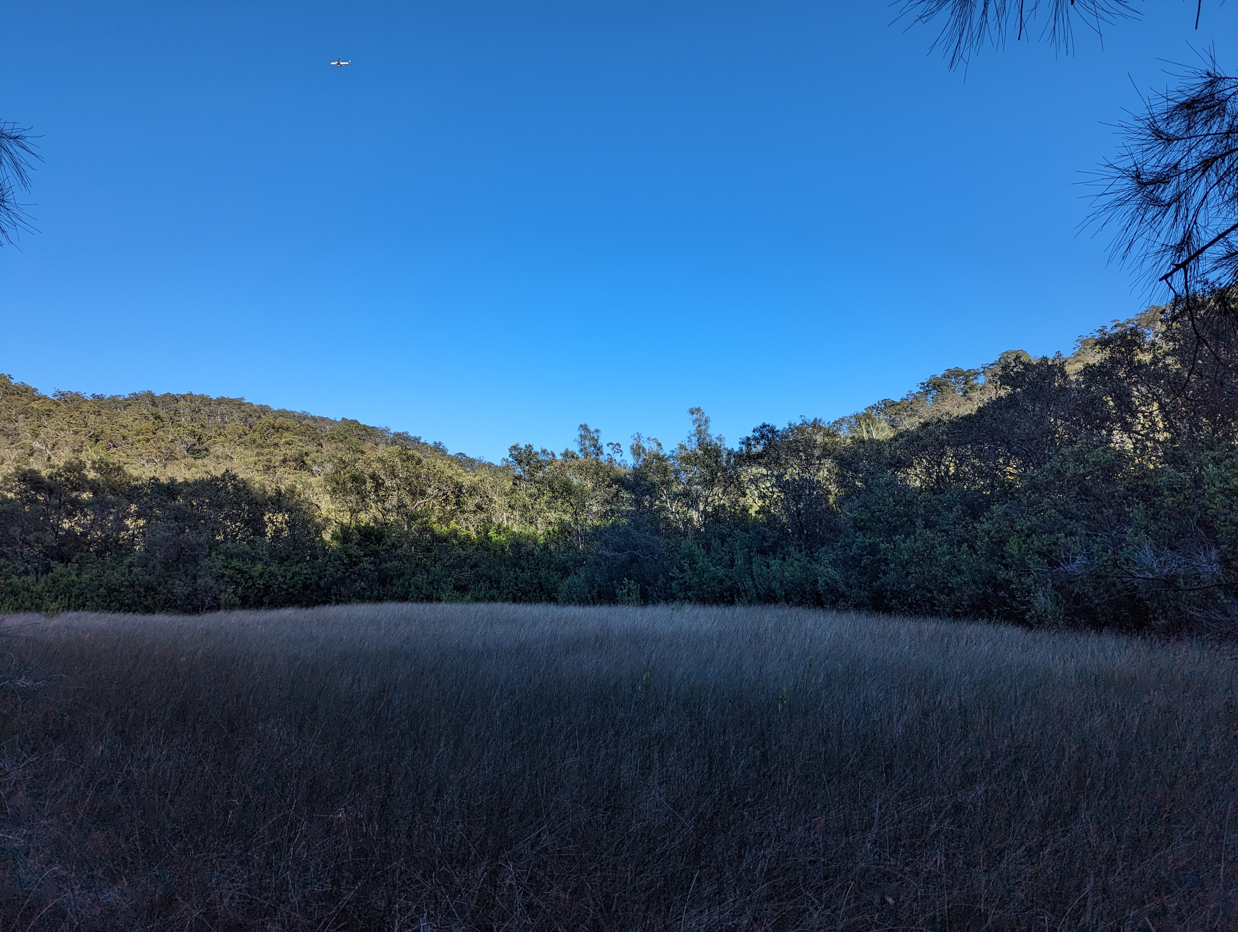 hike to crosslands reserve + wildlife | darsh's life